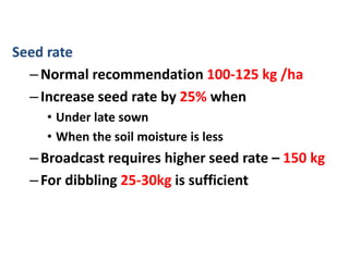 Production technology of wheat and uses.pdf
