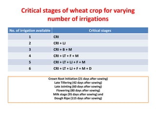 Production technology of wheat and uses.pdf
