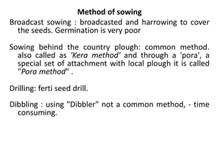 Production technology of wheat and uses.pdf