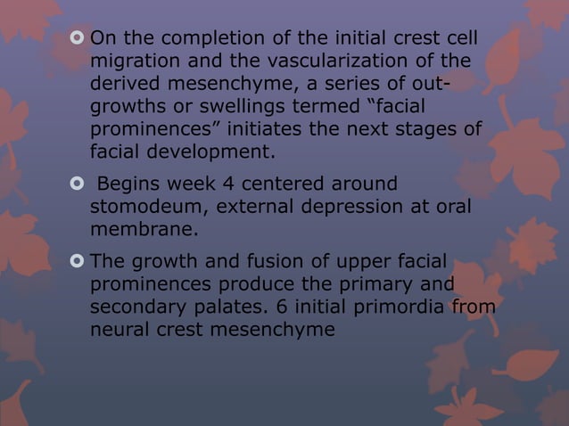 development of facial processes | PPT