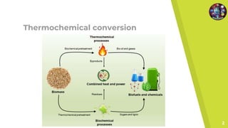 Thermochemical conversion of biomass - Combustion, Pyrolysis and ...