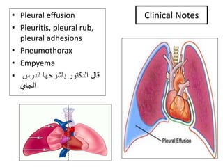 Lecture 3- Anatomy of the Pleura and Lung | PPT