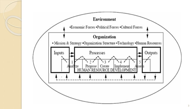 HRM Environments (internal and external) | PDF