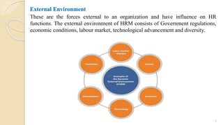 HRM Environments (internal and external) | PDF