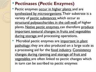 Physic-chemical properties Food enzymes Food additives | PPTX ...