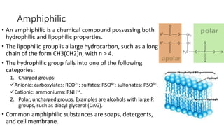 HYDROPHILICITY AND HYDROPHOBICITY OF DRUGS | PDF