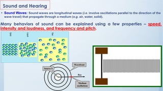 Physics - Lecture (3) - Sound Waves - pdf | PDF