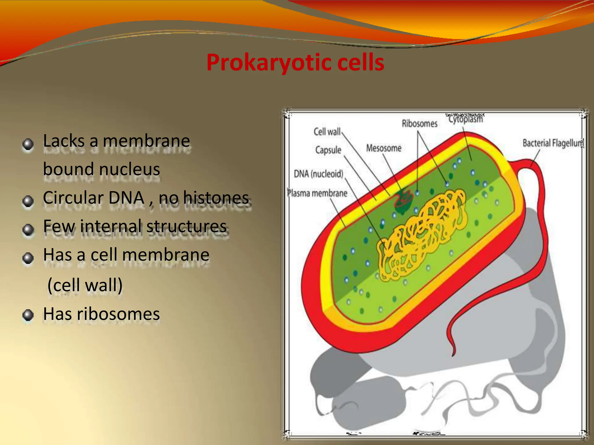Lec 3-Biochemical composition of cells.pptx