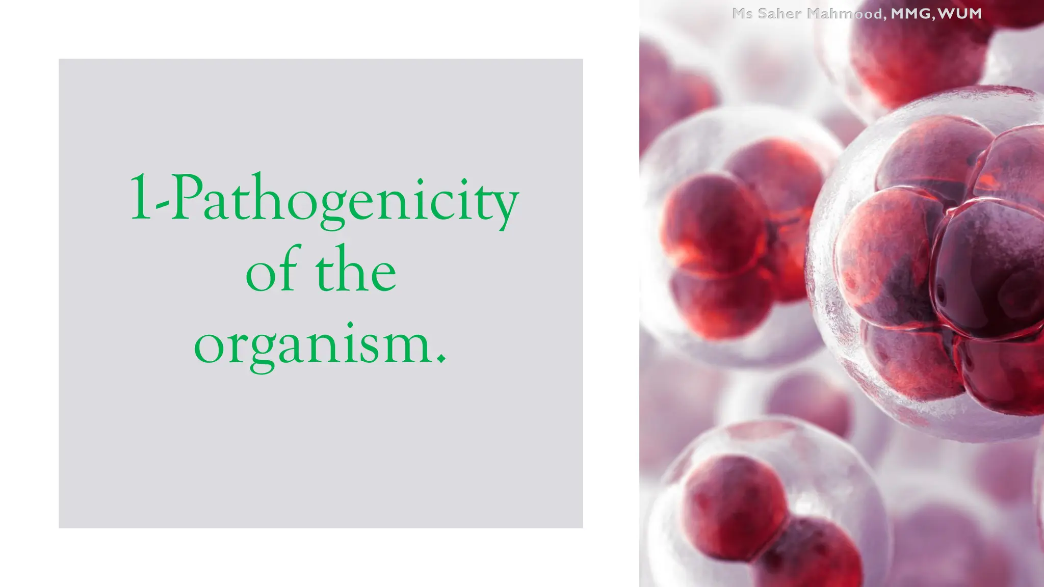 Lec 3-BIOSAFETY RISK GROUPS and their assessment | PDF