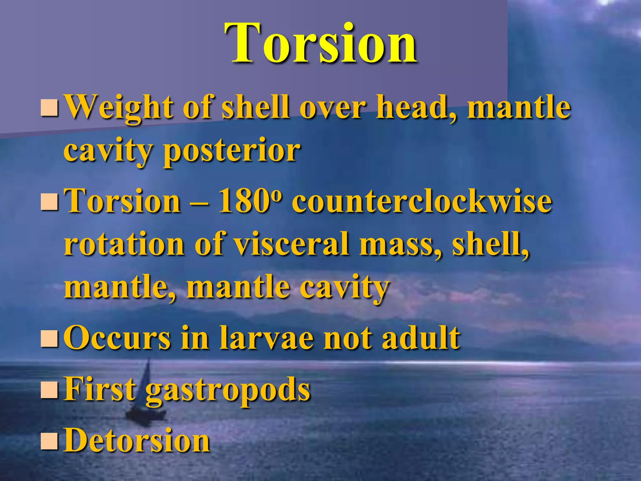 invertebrates : mollusca | PPTX