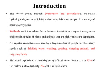Water resources ppt | PPT | Agriculture | Industries