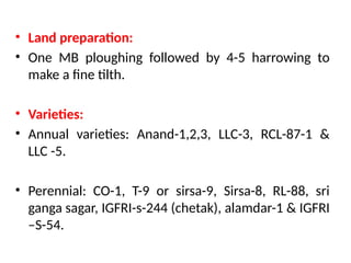 Lec_31_Lucerne cultivation practices.pptx