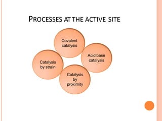ENZYME KINETICS | PPTX | Chemistry | Science