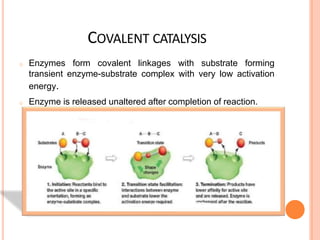ENZYME KINETICS | PPTX | Chemistry | Science
