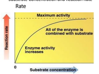 ENZYME KINETICS | PPTX