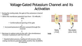 LEC 3,Action potential.pptx physiological basis of action potential | PPTX