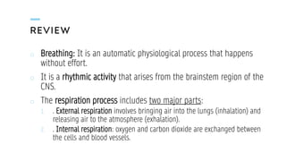 Lec 3 Anatomy and Physiology of the respiratory system.pdf