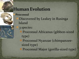 Lec 3 anthropolgical_foundations_of_society | PPT