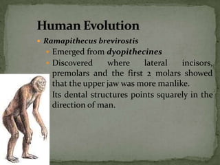 Lec 3 anthropolgical_foundations_of_society | PPTX