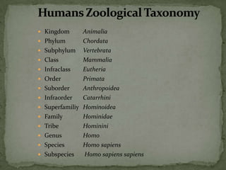 Lec 3 anthropolgical_foundations_of_society | PPTX