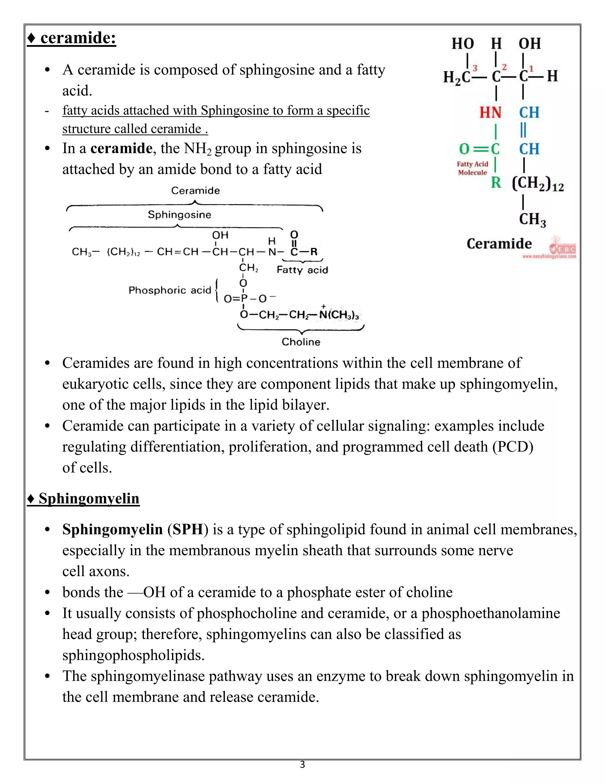 Sphingolipids ceramide Sphingomyelin glycolipids Gangliosides ...