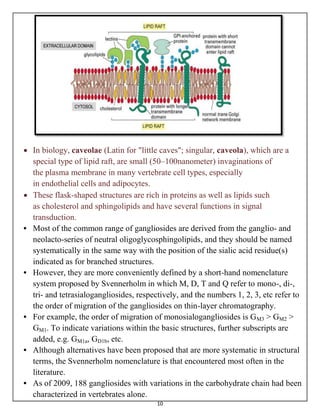 Sphingolipids ceramide Sphingomyelin glycolipids Gangliosides ...