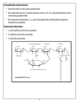 Sphingolipids ceramide Sphingomyelin glycolipids Gangliosides ...