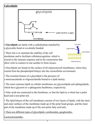 Sphingolipids ceramide Sphingomyelin glycolipids Gangliosides ...