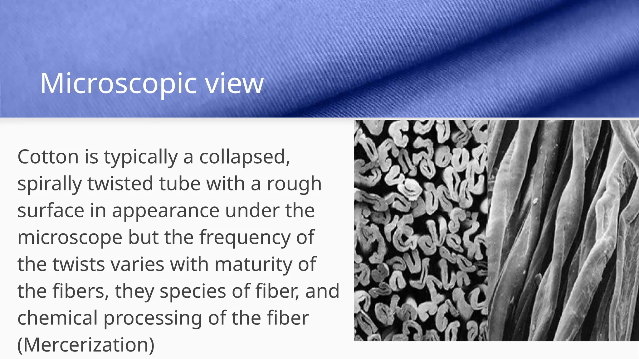 Cotton Fiber (Basic Introduction and Properties) | PPTX