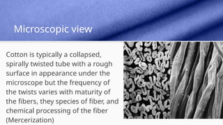 Cotton Fiber (Basic Introduction and Properties) | PPTX