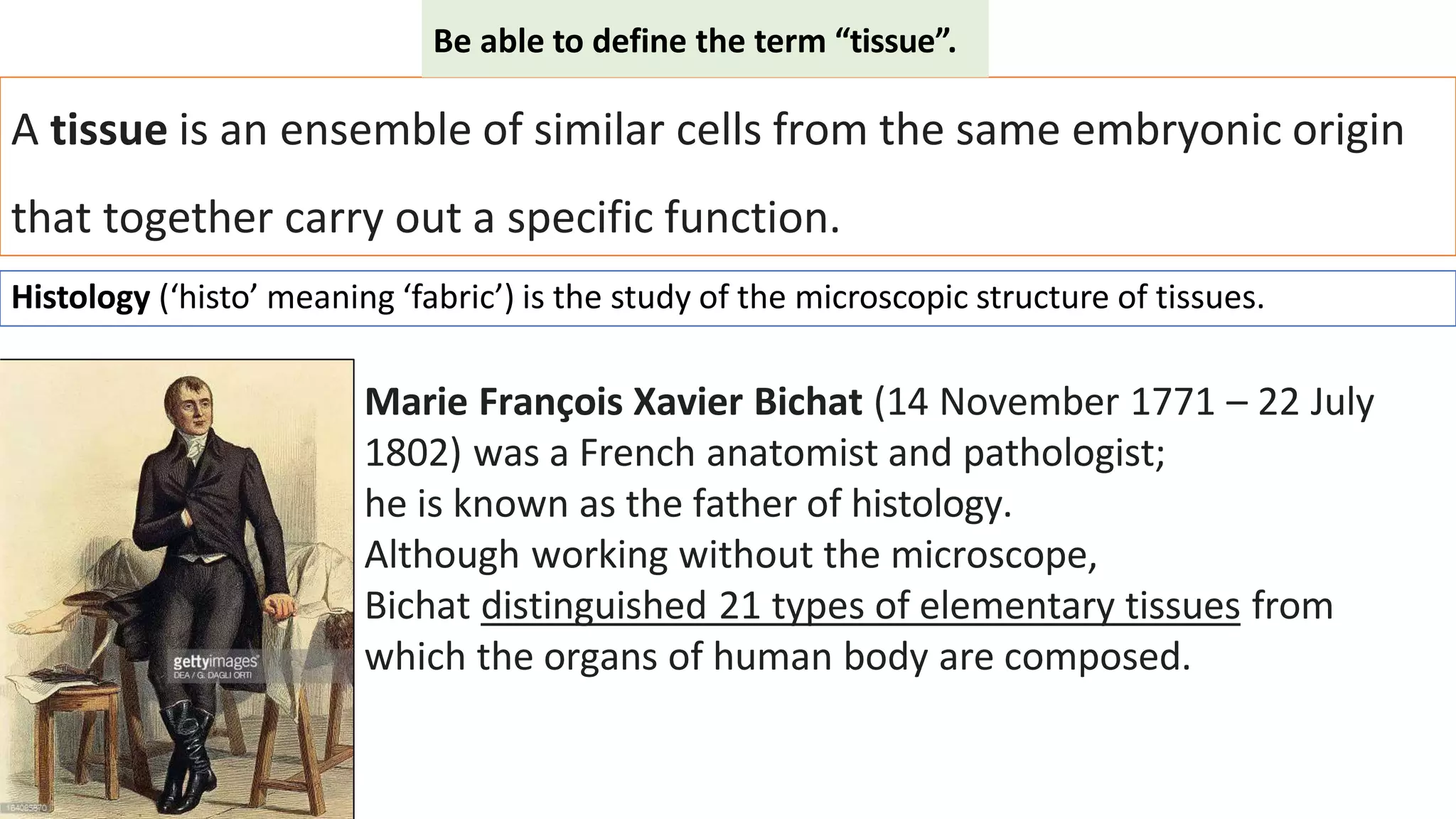 Lec 3 Epithelial tissues.pptx