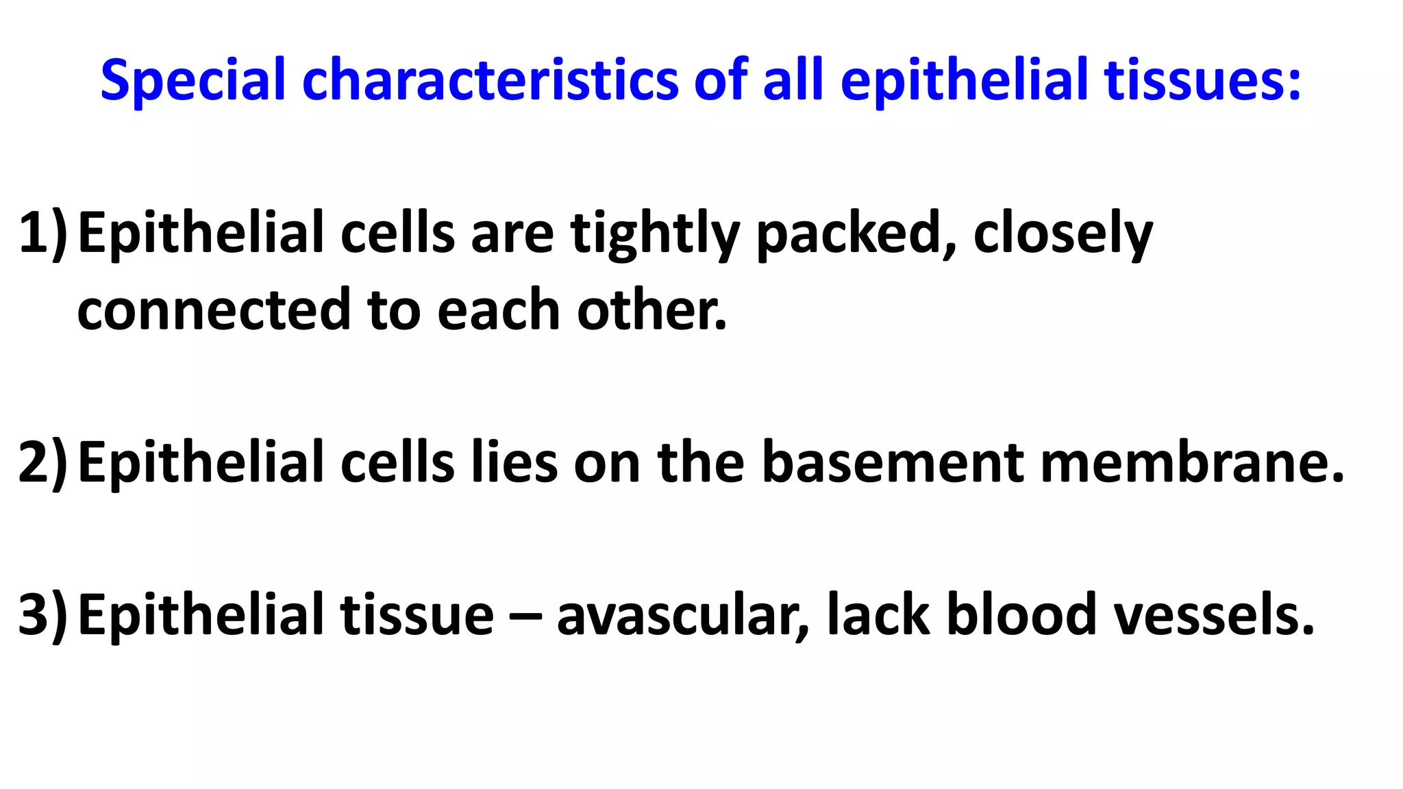 Lec 3 Epithelial tissues.pptx