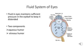 Lec#3 ERRORS OF REFRACTION 2 15-4-21.pptx