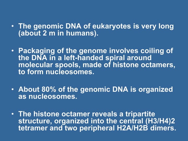 Genome organization of prokaryotic and eukaryotic.ppt | Biological ...