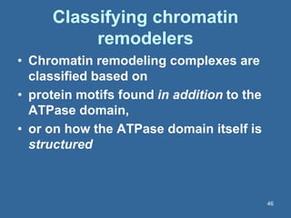 Genome organization of prokaryotic and eukaryotic.ppt