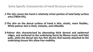 lec 3 hand & face burn.pptx.pptx