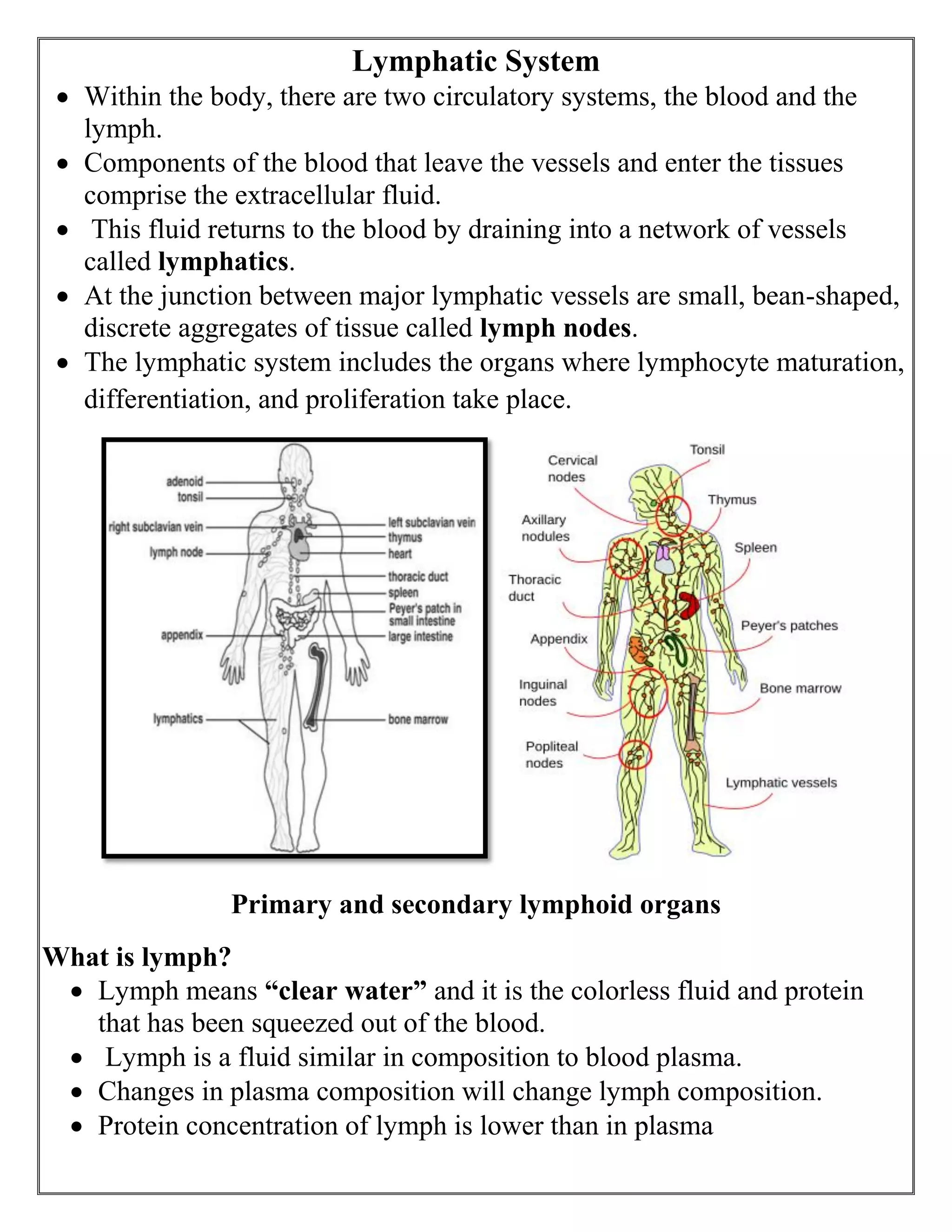 Lymphatic System and ANTIBODIES (Abs) and complement system | PDF