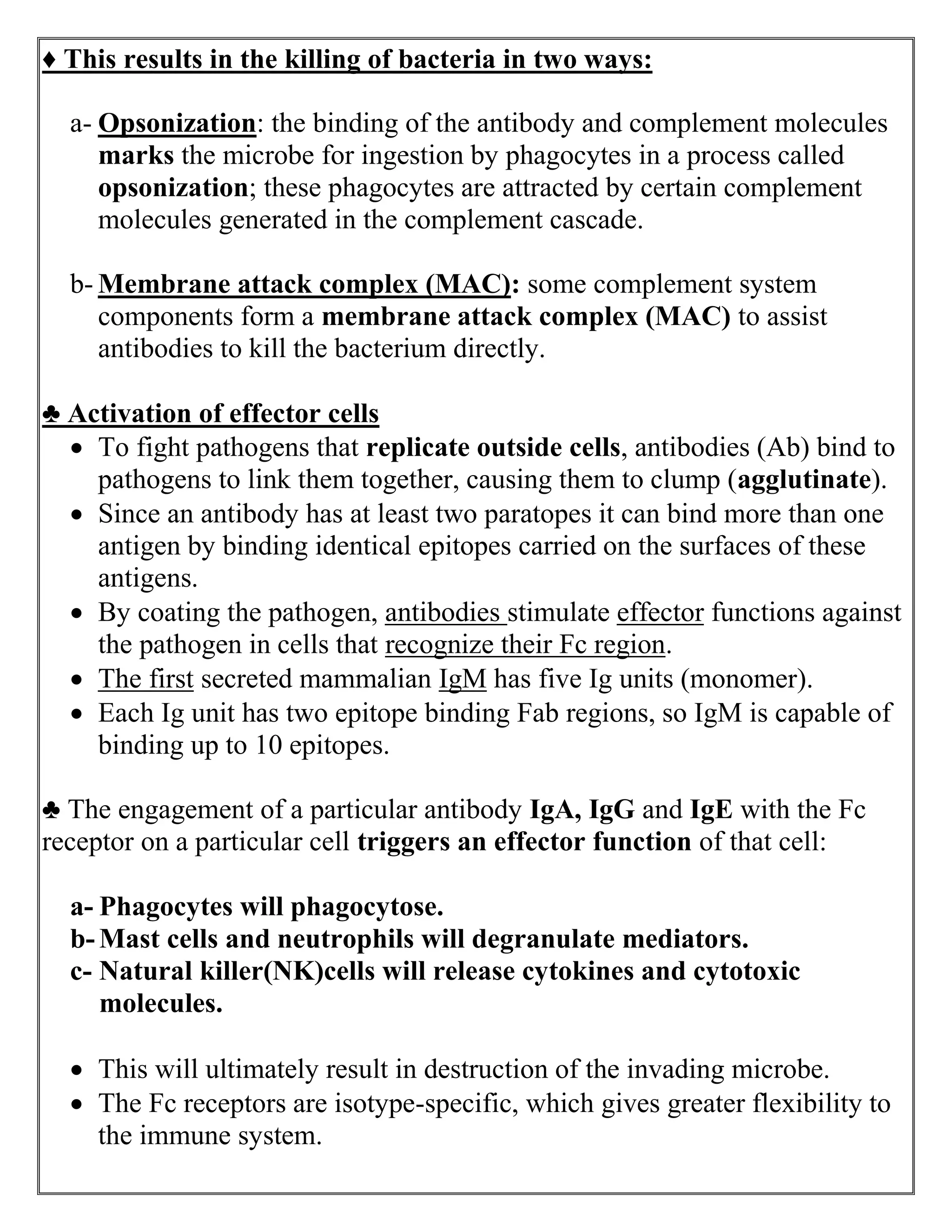 Lymphatic System and ANTIBODIES (Abs) and complement system | PDF