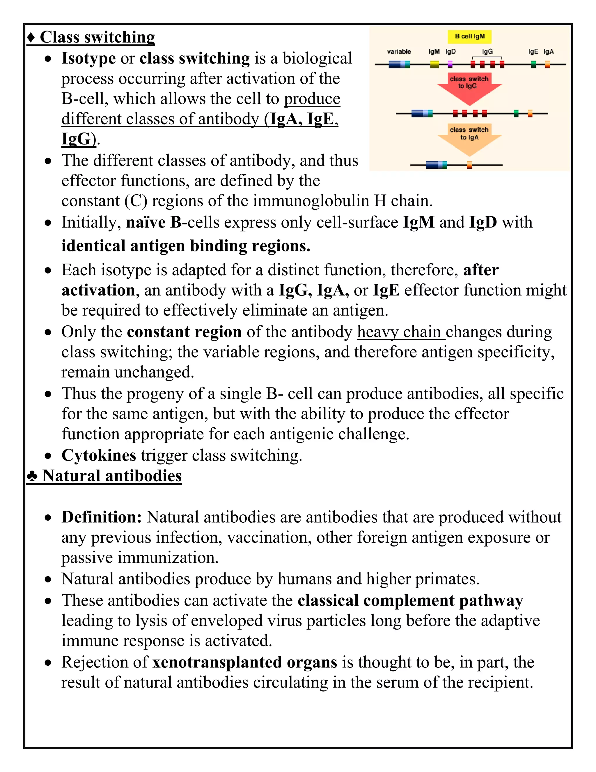 Lymphatic System and ANTIBODIES (Abs) and complement system | PDF