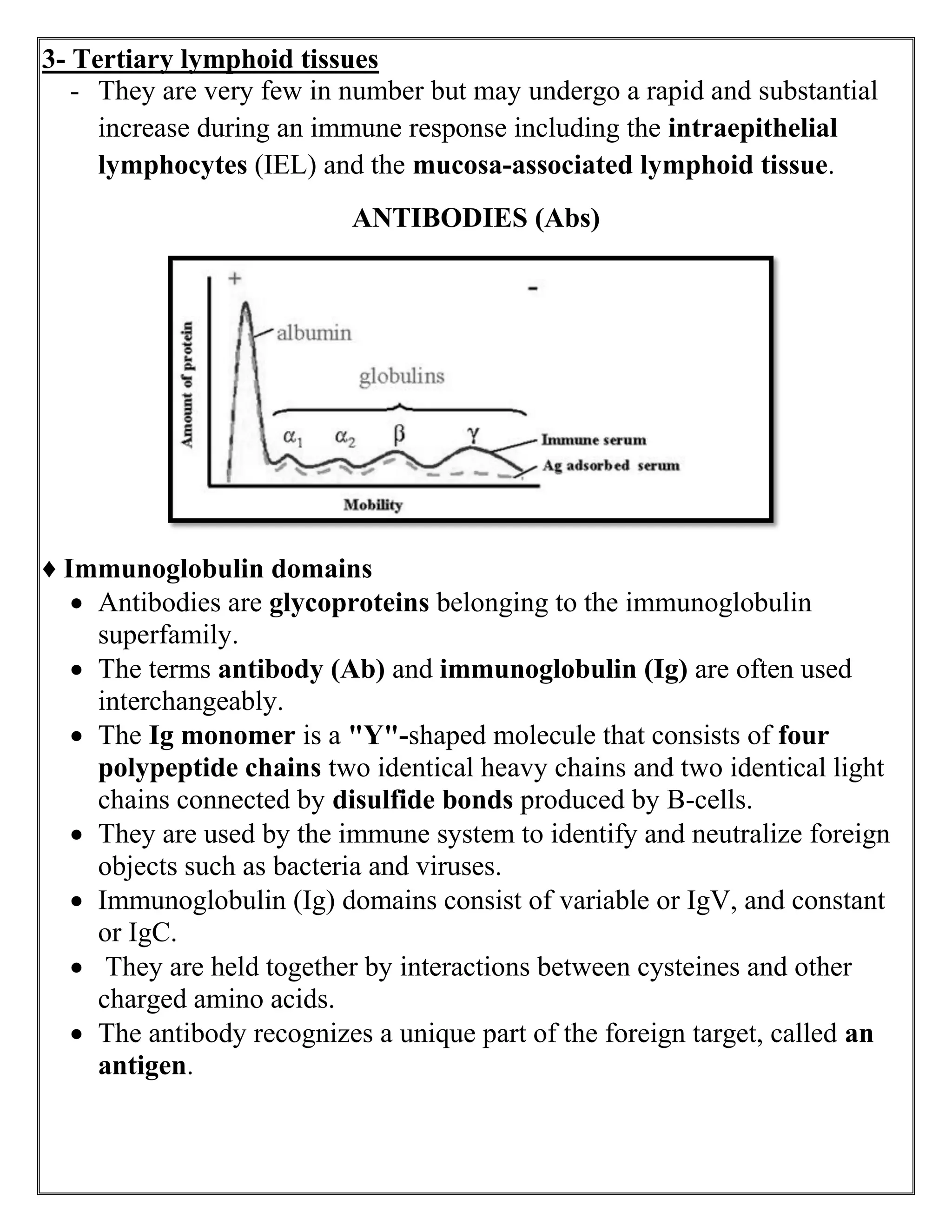 Lymphatic System and ANTIBODIES (Abs) and complement system | PDF