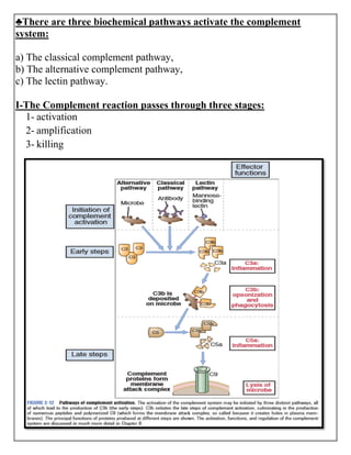 Lymphatic System and ANTIBODIES (Abs) and complement system | PDF
