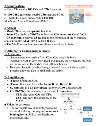 Lymphatic System and ANTIBODIES (Abs) and complement system | PDF