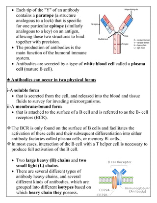 Lymphatic System and ANTIBODIES (Abs) and complement system | PDF