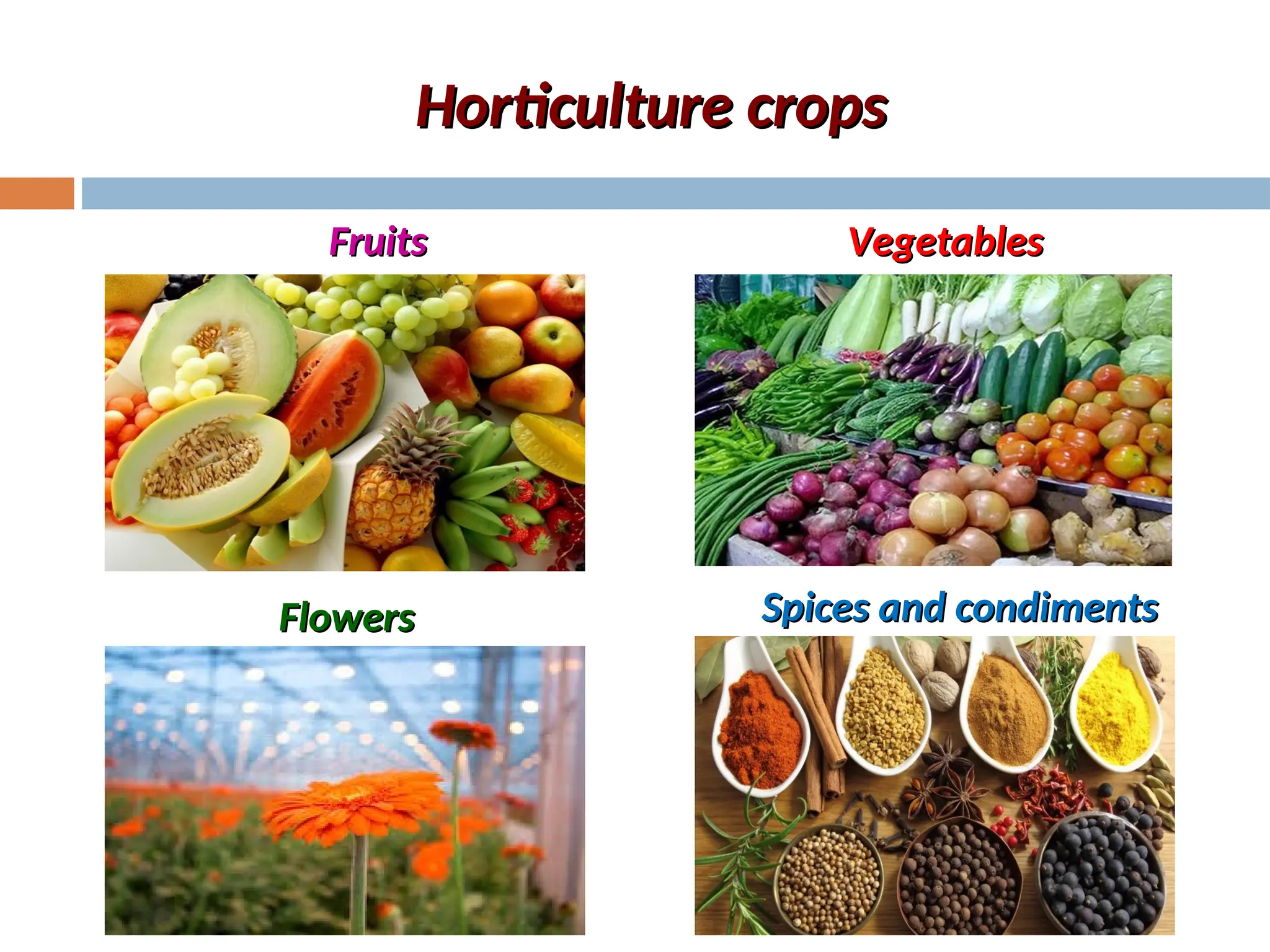 Major importance crops in India and Tamil Nadu.ppt