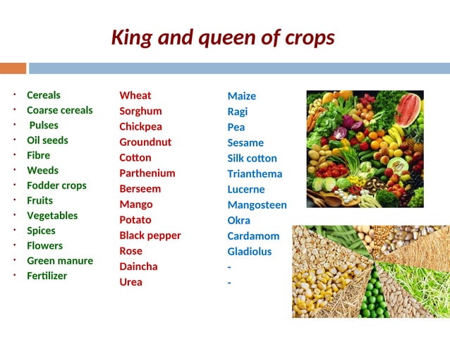Major importance crops in India and Tamil Nadu.ppt