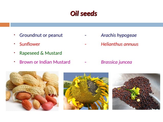 Major importance crops in India and Tamil Nadu.ppt