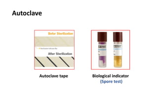 Lec 3 Microbiology (Practic).pptx
