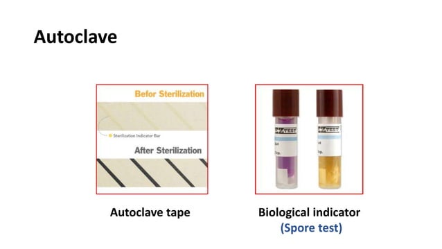 Lec 3 Microbiology (Practic).pptx
