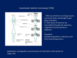 Microscope and types of microscope.pptx