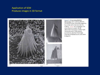 Microscope and types of microscope.pptx